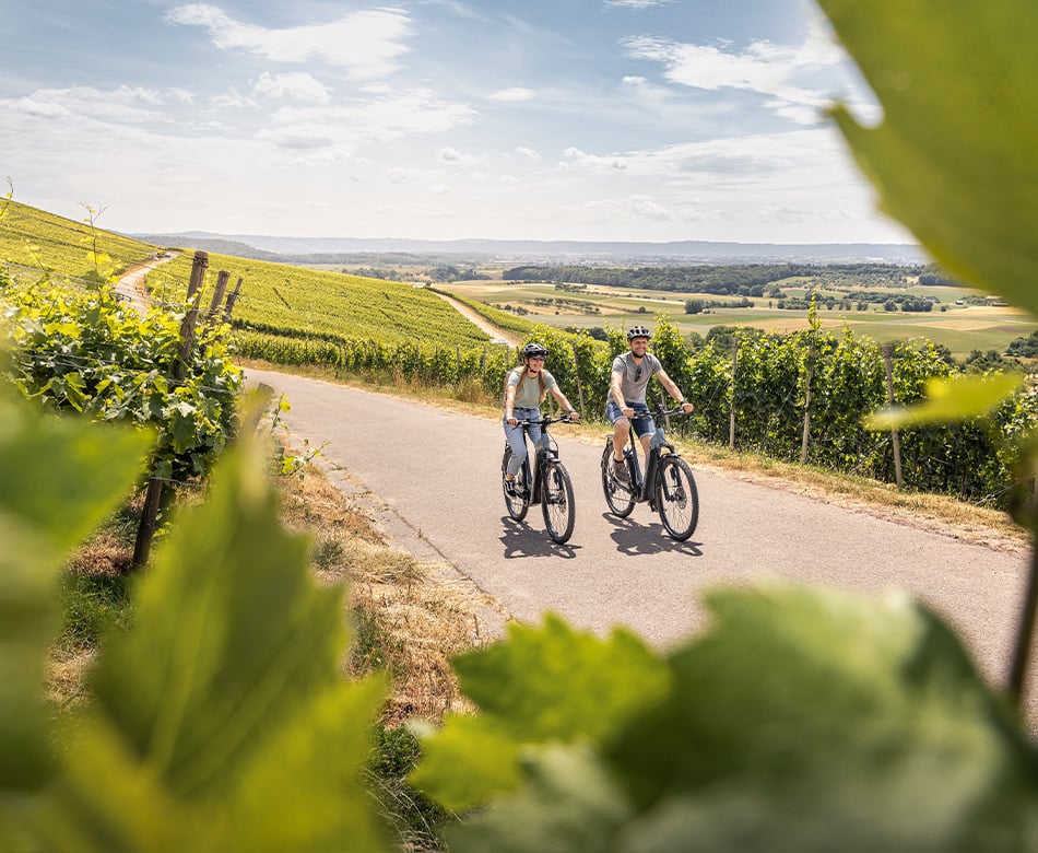 E-Bike für den Alltag in der Stadt: FOCUS PLANET² | FOCUS Bikes